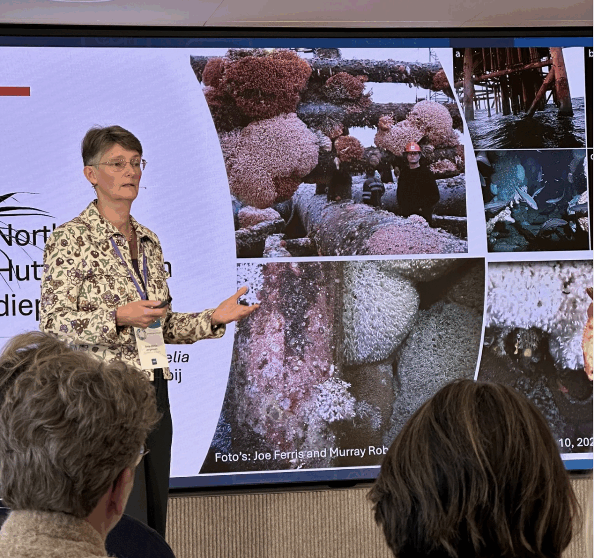 Women for the North Sea: working together on nature-inclusive offshore ...